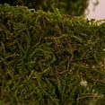 Weddingstar Roll Of Faux Moss Ribbon - Walmart.com