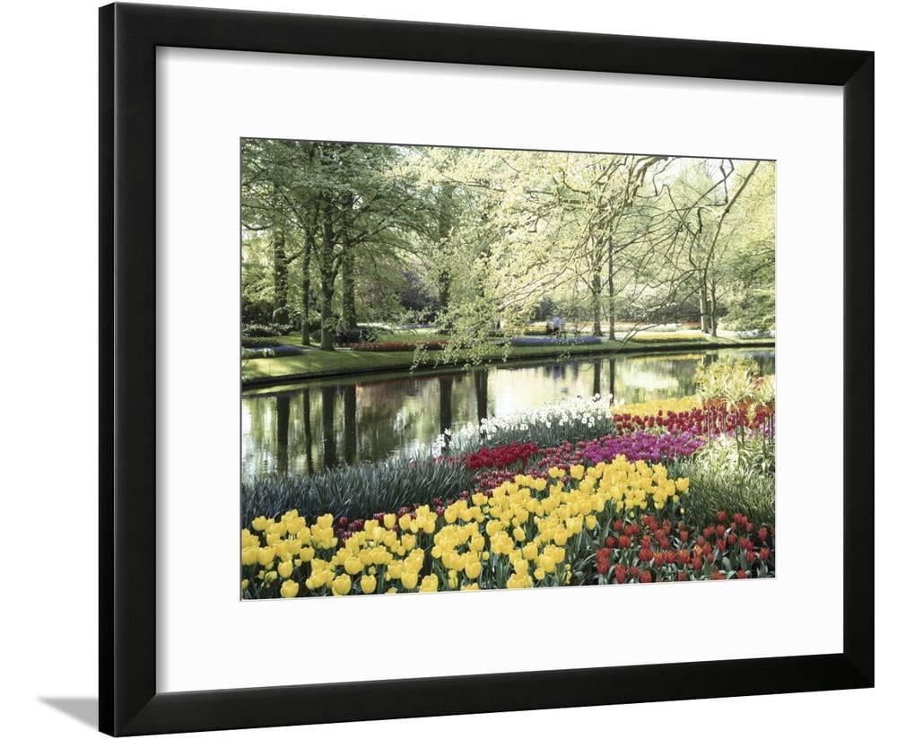 Keukenhof Gardens, Lissa, Netherlands, Botanical Framed Art Print Wall ...