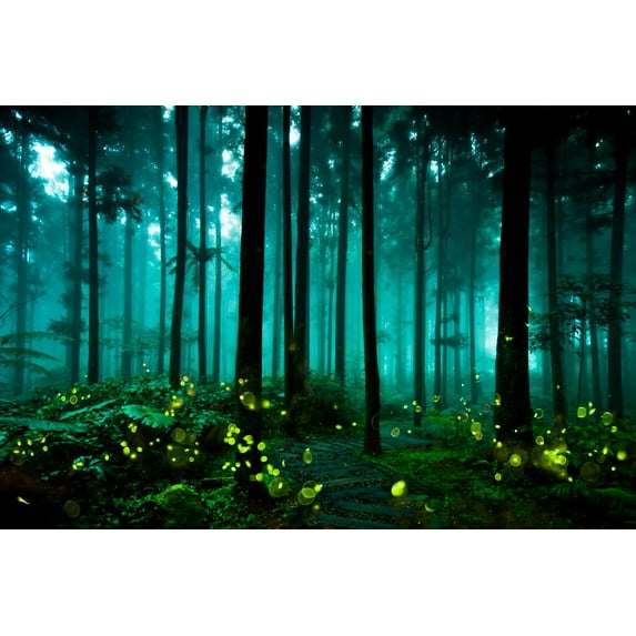 Laminated Fireflies Glowing Summer Forest At Night Landscape Photo ...