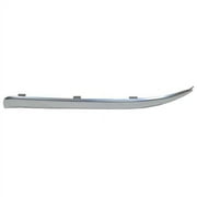Dodge Durango Bumper Cover Molding