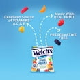 Welch's Fruit Snacks, Mixed Fruit Variety Pack, Single Serve Bags, 0.8 ...