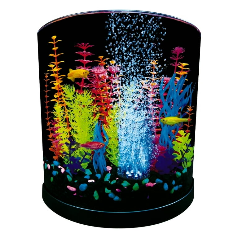 Glofish Tank 5 Gallon
