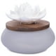 Better Homes & Gardens Wicking Ceramic Diffuser, Frosted Succulent ...