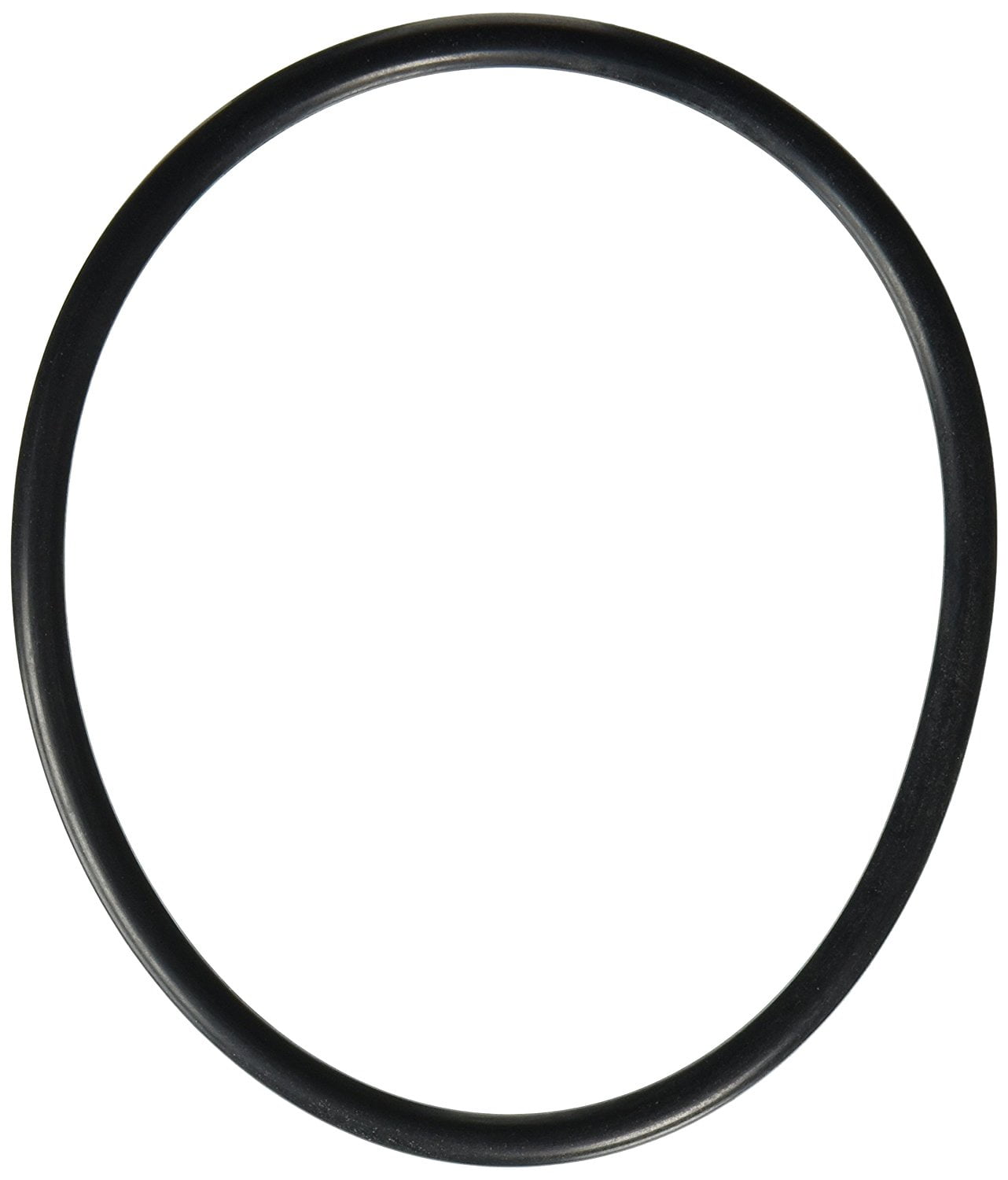 Pentair Sta-Rite U9-161 Cord O-Ring for CFA Series Pool and Spa Pump ...