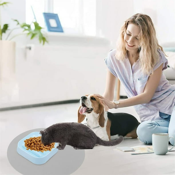 LSLJS Pet Food Feeding Pad - Circular Silicone Meal Pad Waterproof Pad ...