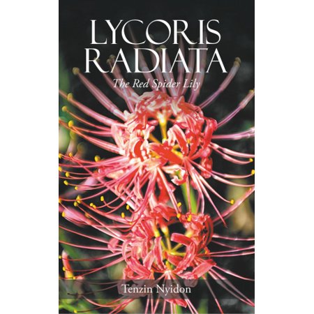 Lycoris Radiata: The Red Spider Lily | Walmart Canada