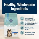 Free Shipping! Blue Buffalo Small Breed Care Natural Dry Dog Food with ...