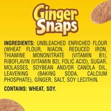 Nabisco Ginger Snaps Cookies 16 oz. Box (Pack of 2) - Walmart.com
