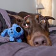 6" Loofa The Original Interactive Plush Dog Toy - Blue - Walmart.com