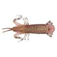 NeveLance Mantis Shrimp Model Solid Vivid Simulation Shrimp Model for ...
