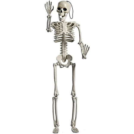 23.8'' Halloween Skeleton Bone Model Full Body Realistic Human Bones ...