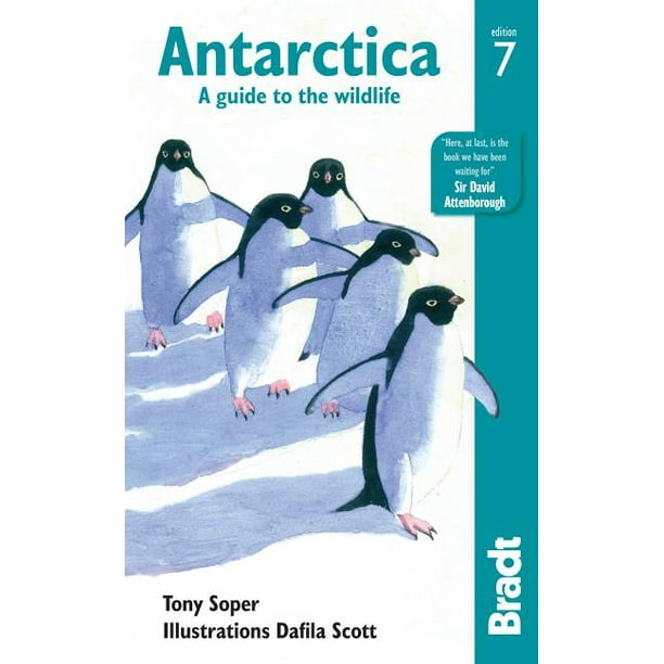 Antarctica : A Guide to the Wildlife - Paperback - Walmart.com