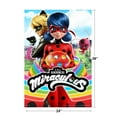 Laminated Miraculous Ladybug and Cat Noir Miracle Box Cartoon TV Series ...