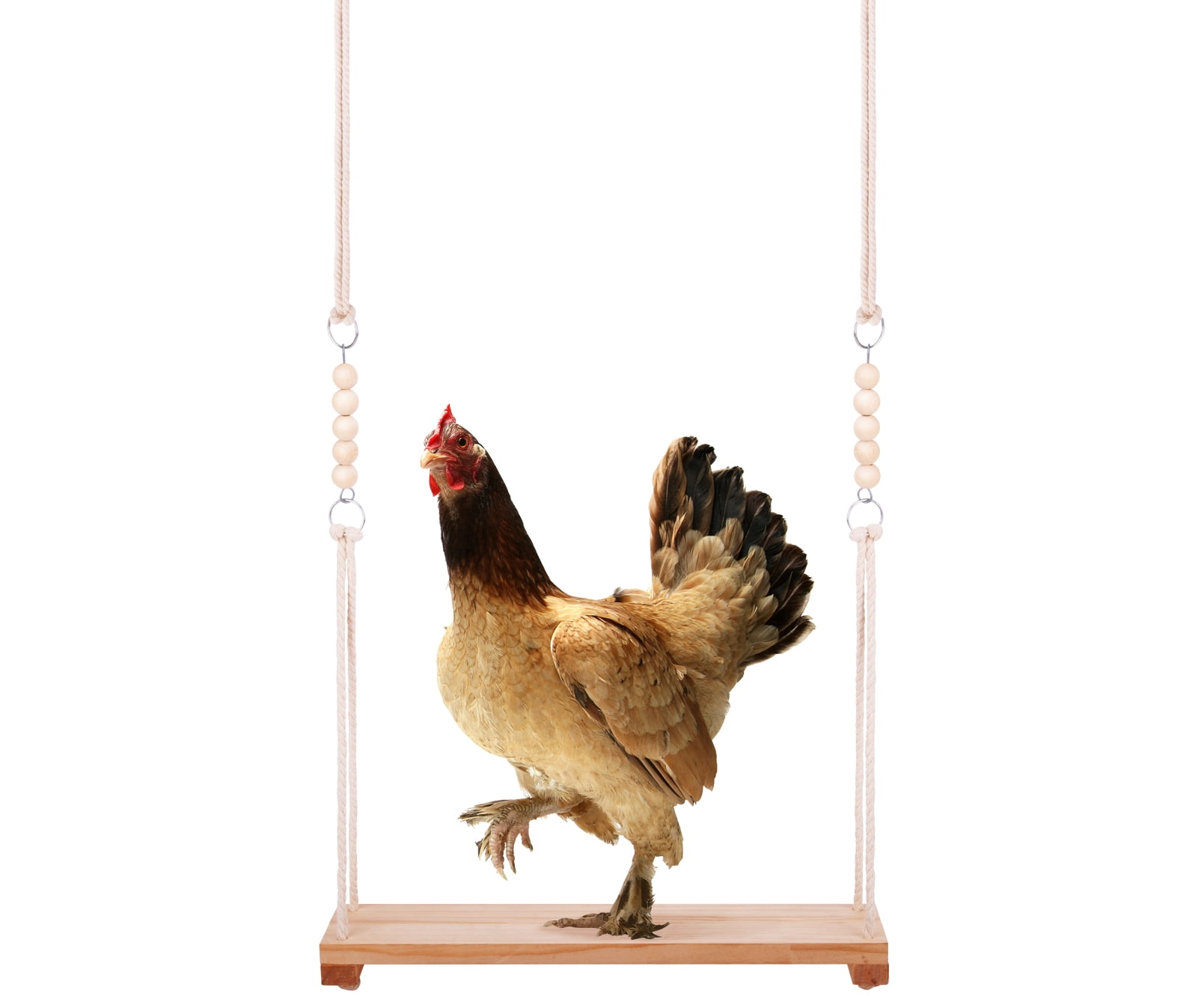 QBLEEV Chicken Swing Toy for Coop Natural Safe Wooden Accessories Large ...