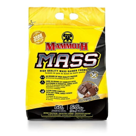 MAMMOTH MASS: Weight Gainer, High Calorie Protein Powder Workout ...