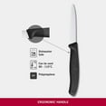 Victorinox, Paring Knife, 3.1 Inch Wavy Edge, Pointed Tip - Walmart.com