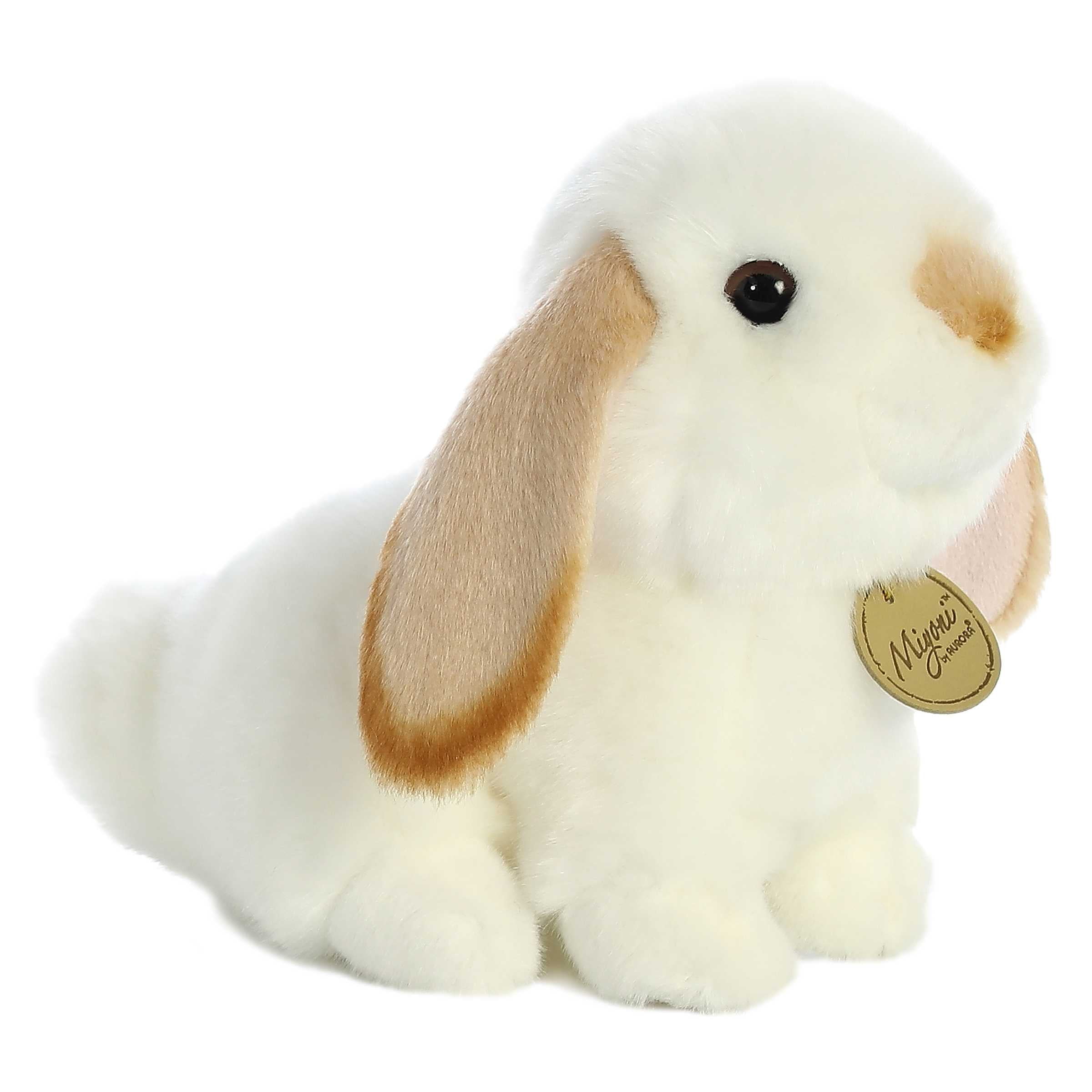 Adorable Lop Eared Bunnies