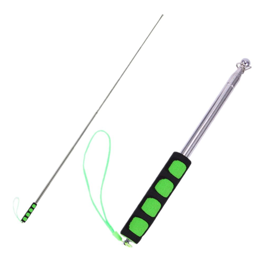 Extendable Flags windsock PPT Presentation Handheld Windsock Tour Guide ...