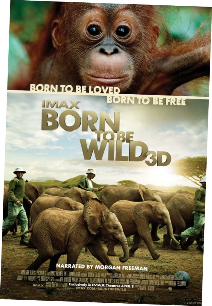 Born To Be Wild poster Metal Sign 8inx 12in Art Print on Metal 8x12 ...