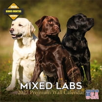 MegaCalendars 2026-2027 Chocolate Labrador Wall Calendar, 12x12 Bonus ...