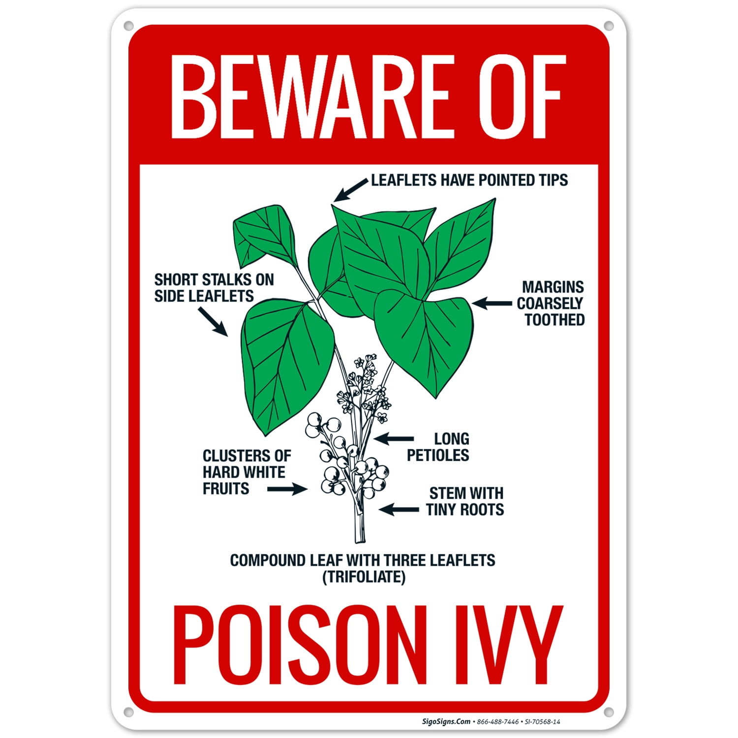 Beware of Poison Ivy Sign, - Walmart.com