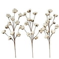 Idyllic 6PCS Long Stem Cotton Picks, 35 Inch Tall Decorative Table ...