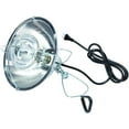 Little Giant Brooder Reflector Heat Lamp, 10.5-in Aluminum Shade, 250W ...
