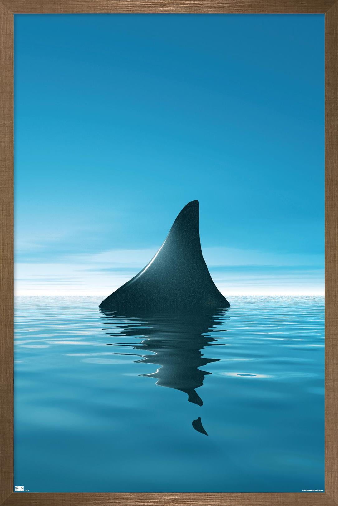 Shark - Day Fin Wall Poster, 22.375" x 34" Framed - Walmart.com