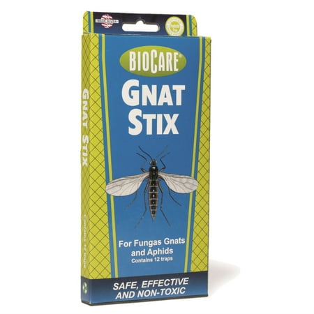 GNAT STIX TRAPS 1 (Pack of 1) | Walmart Canada