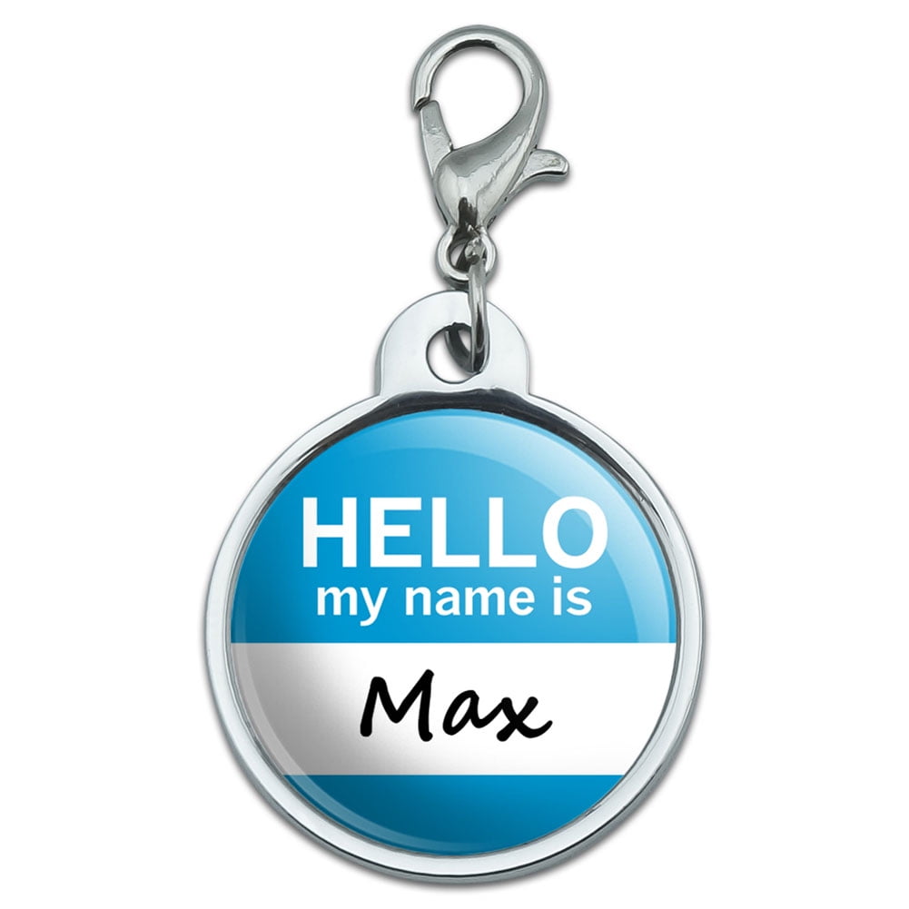 Max Hello My Name Is Small Metal ID Pet Dog Tag - Walmart.com