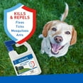Adams Yard & Garden Spray, Kills Mosquitoes, Fleas, Ticks & Other ...