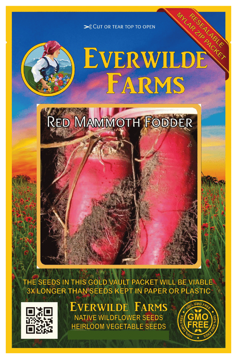 Everwilde Farms - 1 Oz Red Mammoth Fodder Beet Seeds - Gold Vault Bulk ...