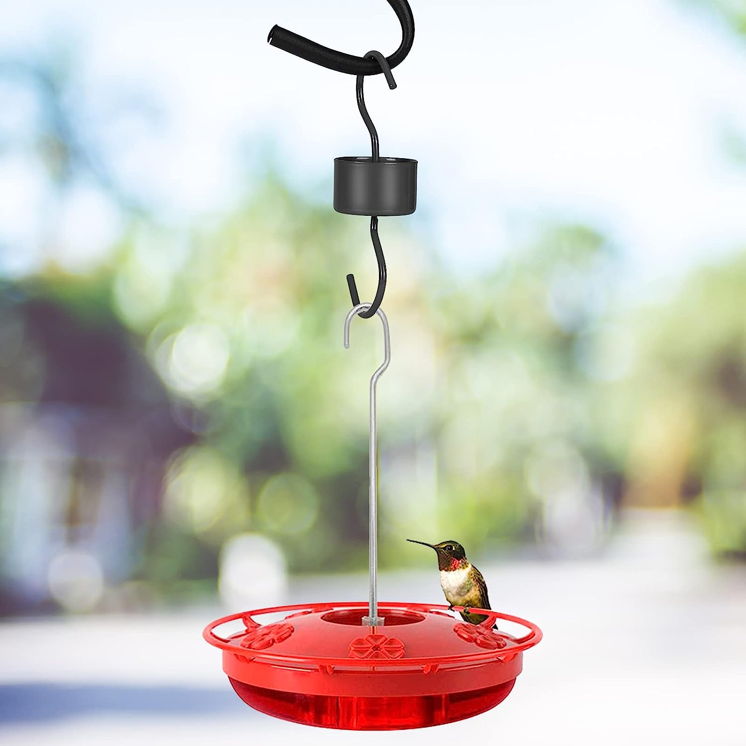 3Pcs Anti-Ants Hook ,Metal Ant Moat for Hummingbird Feeders,Black ...