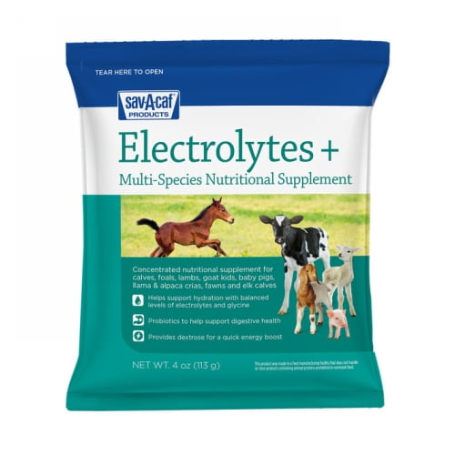 Click here for Sav-A-Caf Electrolytes +  4 Oz 4 Oz prices