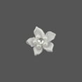 Offray accessories, white 3/4 inch value pack 5 petal gem flower ...