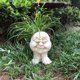 Homestyles Antique White Grandma Violet the Muggly Face Humorous Statue ...
