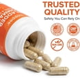 Happee Bladder Control Pills 120 Count, with Pumpkin Seed Extract ...