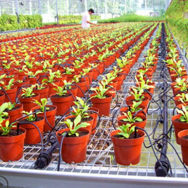 Arrow Orchard Gardening Flower Dropper Drip Irrigation Tool - Walmart.ca