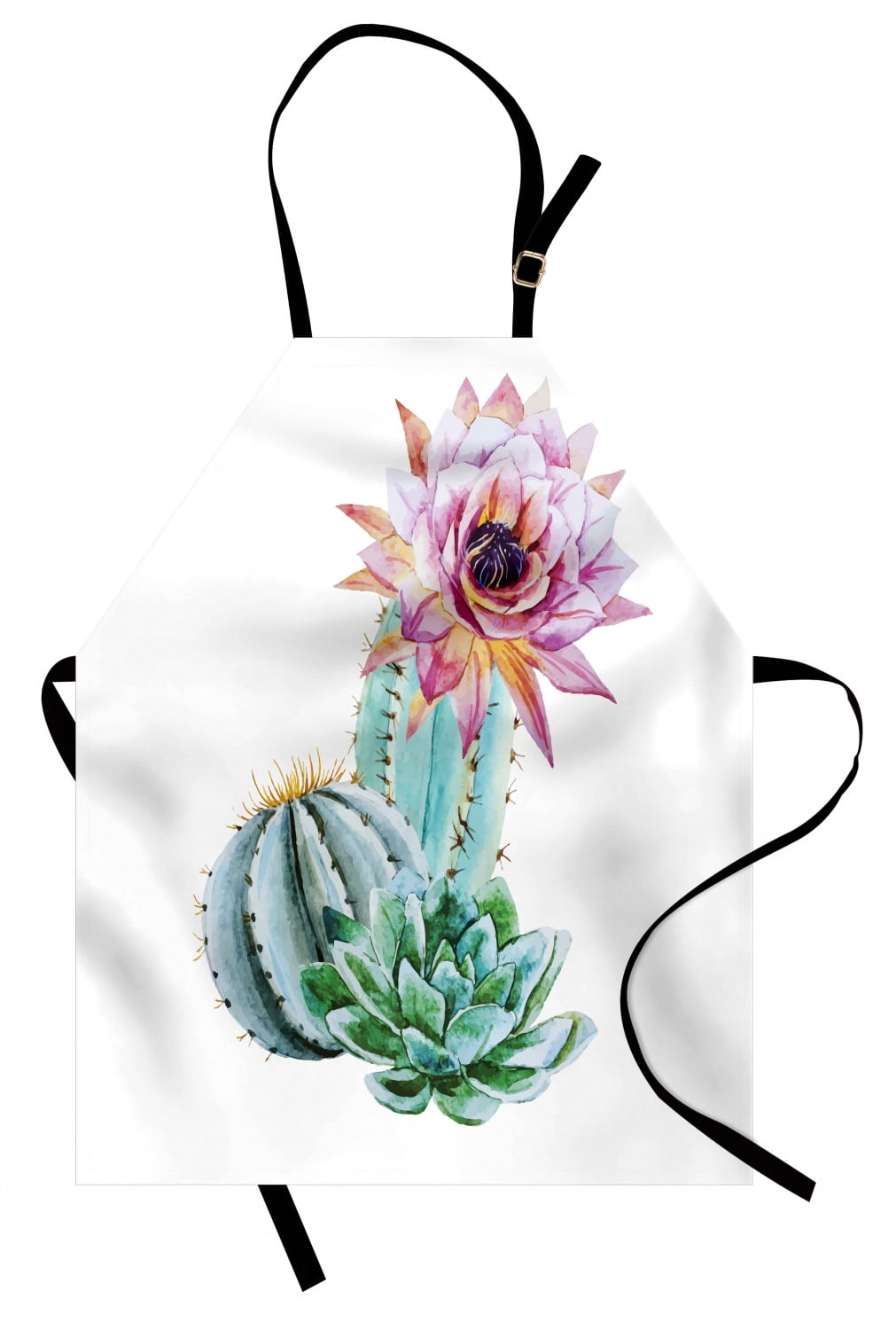 Cactus Apron Cactus Spikes Flower in Hot Mexican Desert Sand Botanical ...