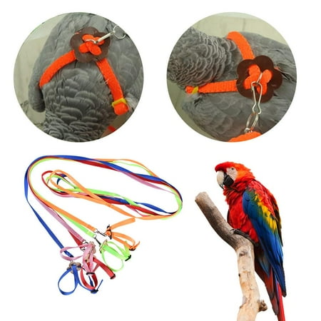 Pet Bird Harness Adjustable Leash Flying Training Rope for Parrot ...