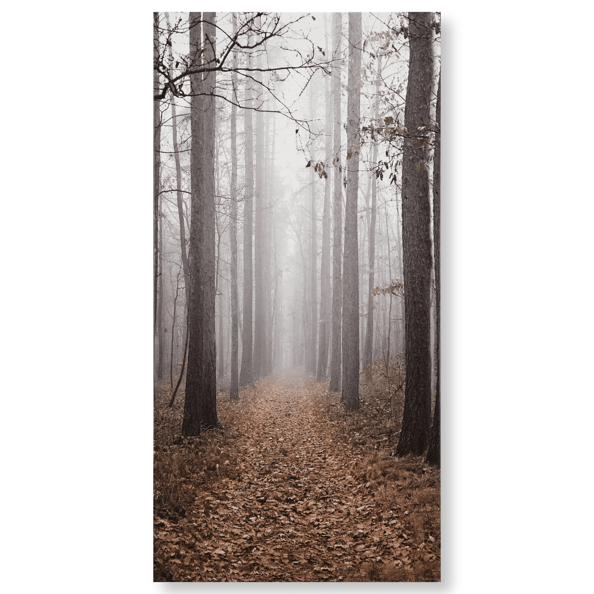 Click here for Bouclair Brown Fall Passage Printed Canvas 18 X 36... prices