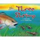 Three Little Shrimp (Hardcover) - Walmart.com