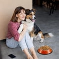 6 Pcs 18 oz Stainless Steel Dog Bowl, Dog Food Water Bowl with Anti ...