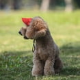 Adjustable Pet Sun Hat Breathable Fabric With Ear Holes For Outdoor And ...
