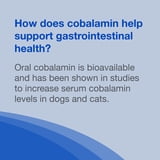Nutramax, Cobalequin For Cats and Small Dogs, 45 Ct, B12 Supplement ...