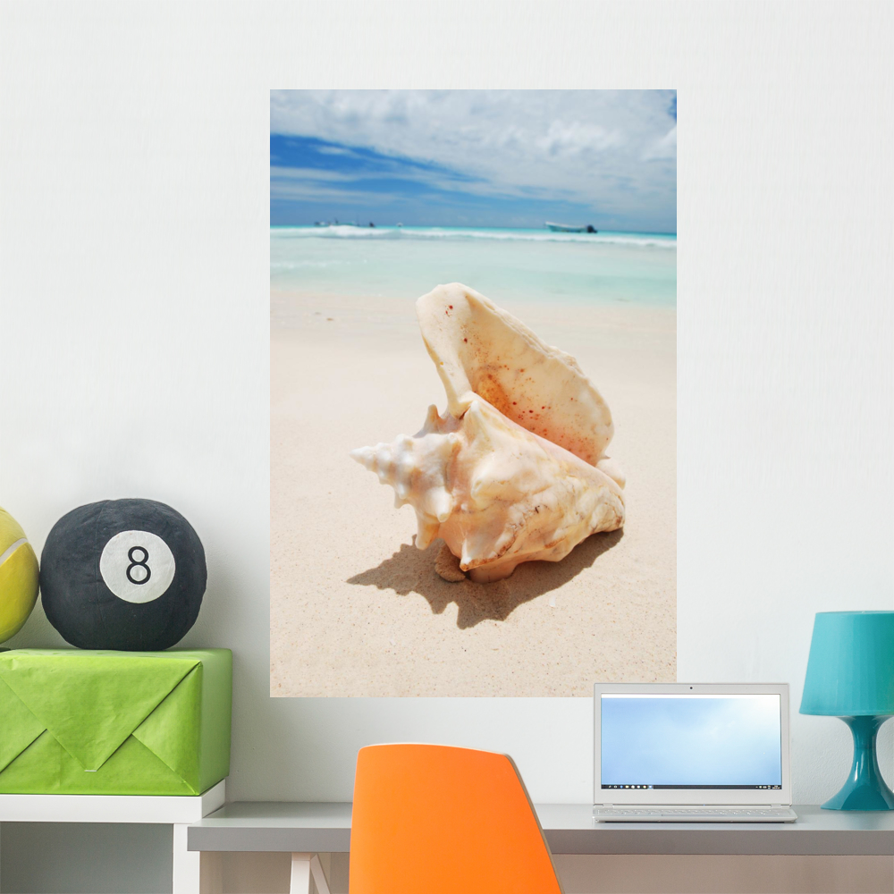 Shell Caribbean Wall Mural by Wallmonkeys Peel and Stick Graphic (36 in ...