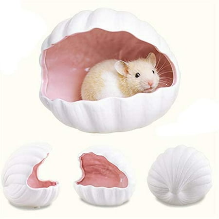 Small Animal Nest Hideout Hamster House Critter Bath Adorable Shell ...