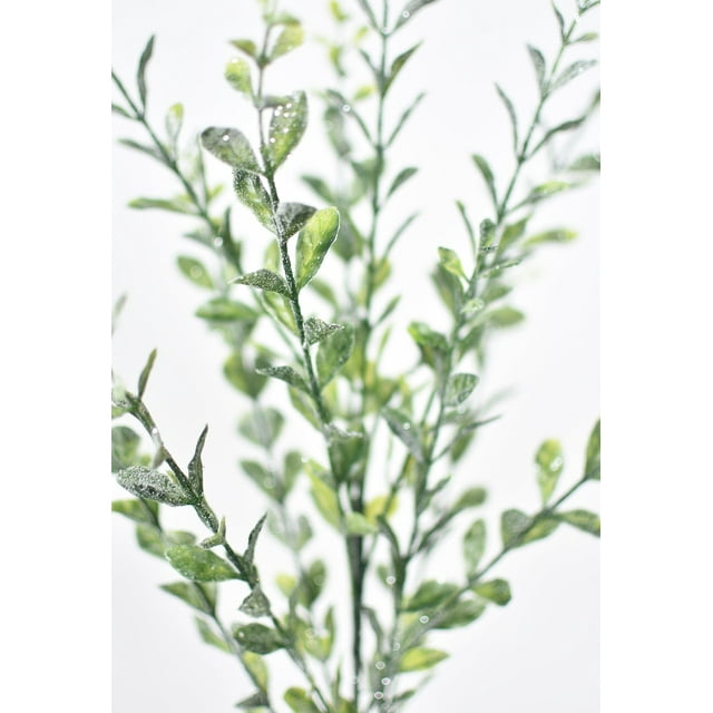 23" Faux Frosted Boxwood Greenery Stem - Walmart.com