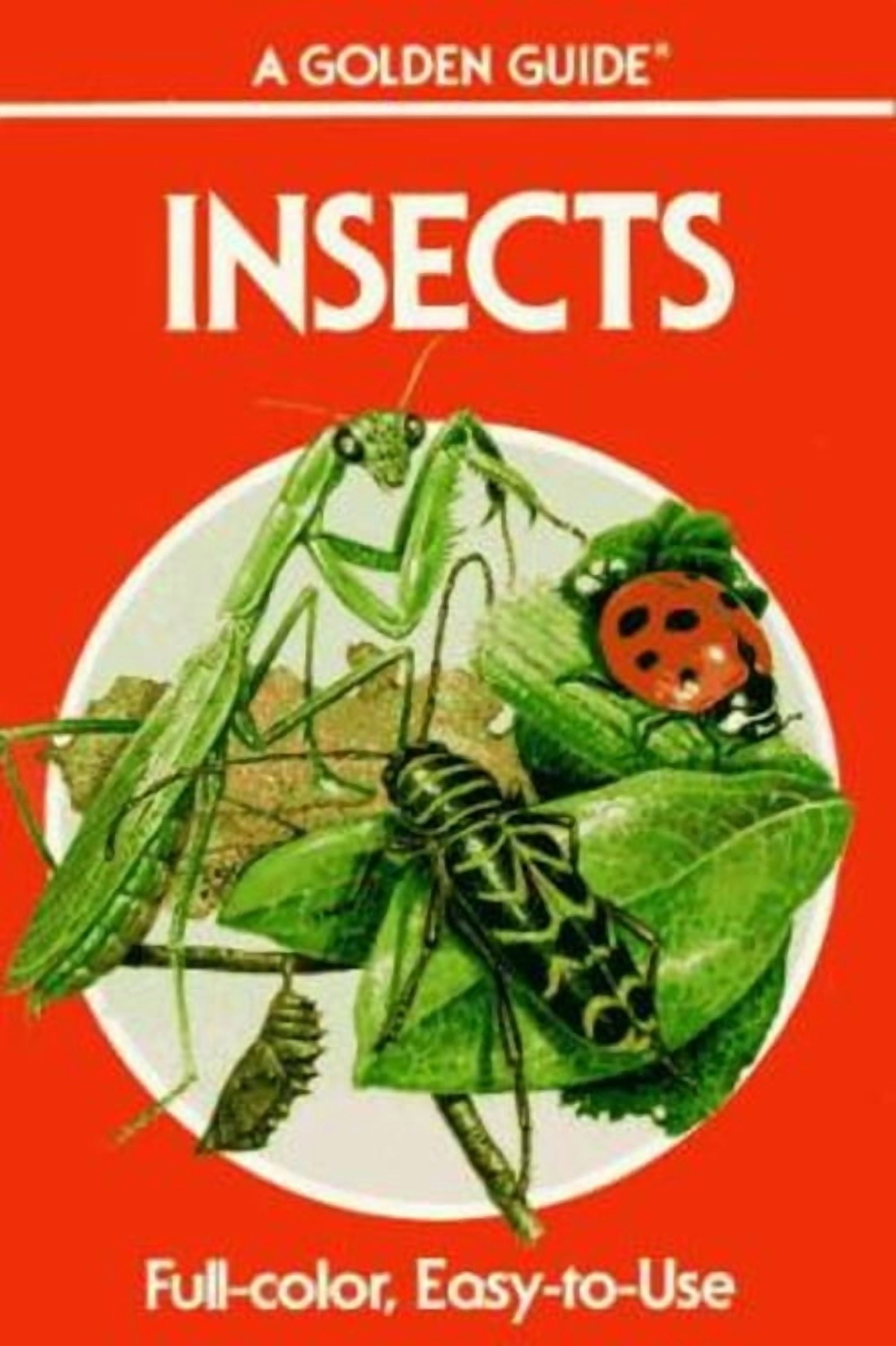 Insectos usados: una guía de insectos americanos familiares Golden ...
