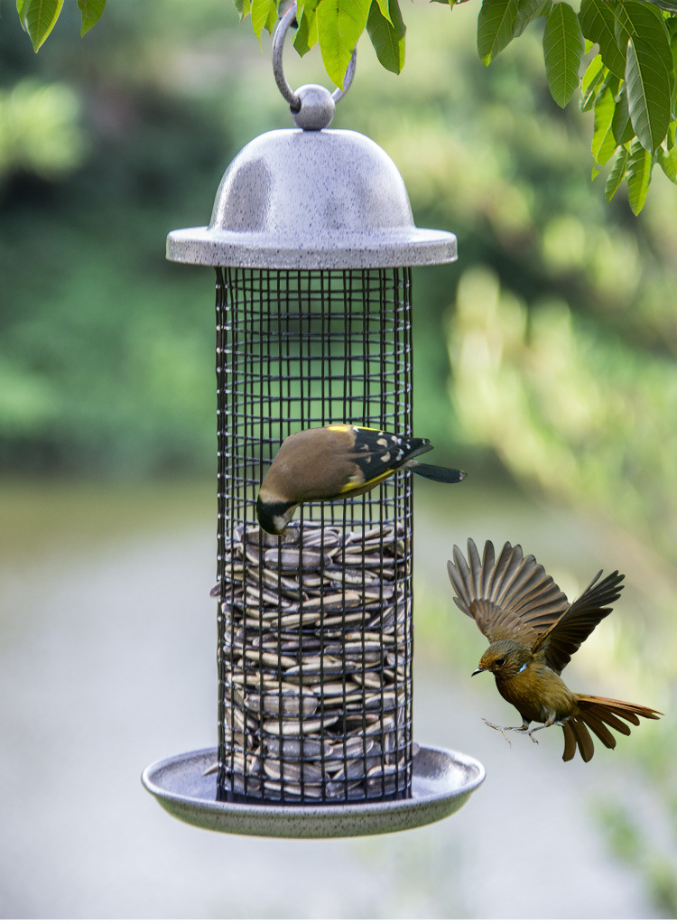 XGeek Supa Mesh Wire Wild Bird Feeder Walmart Canada XGeek Supa Mesh Wire Wild Bird Feeder Walmart Canada